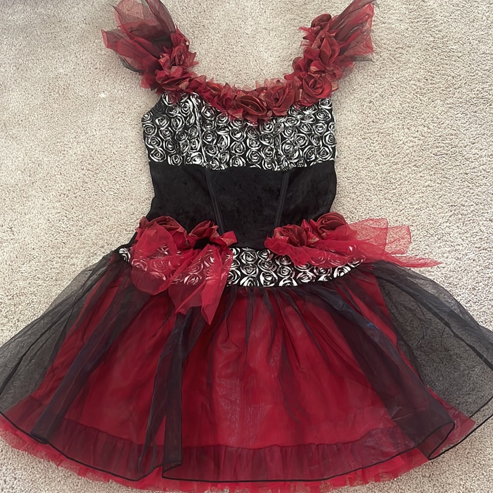 Super Cute Silver/ Red Roses, Costume Womens Mini Dre… - Gem
